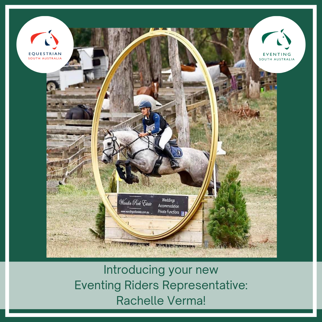 Your Eventing Rider Rep! | Equestrian South Australia